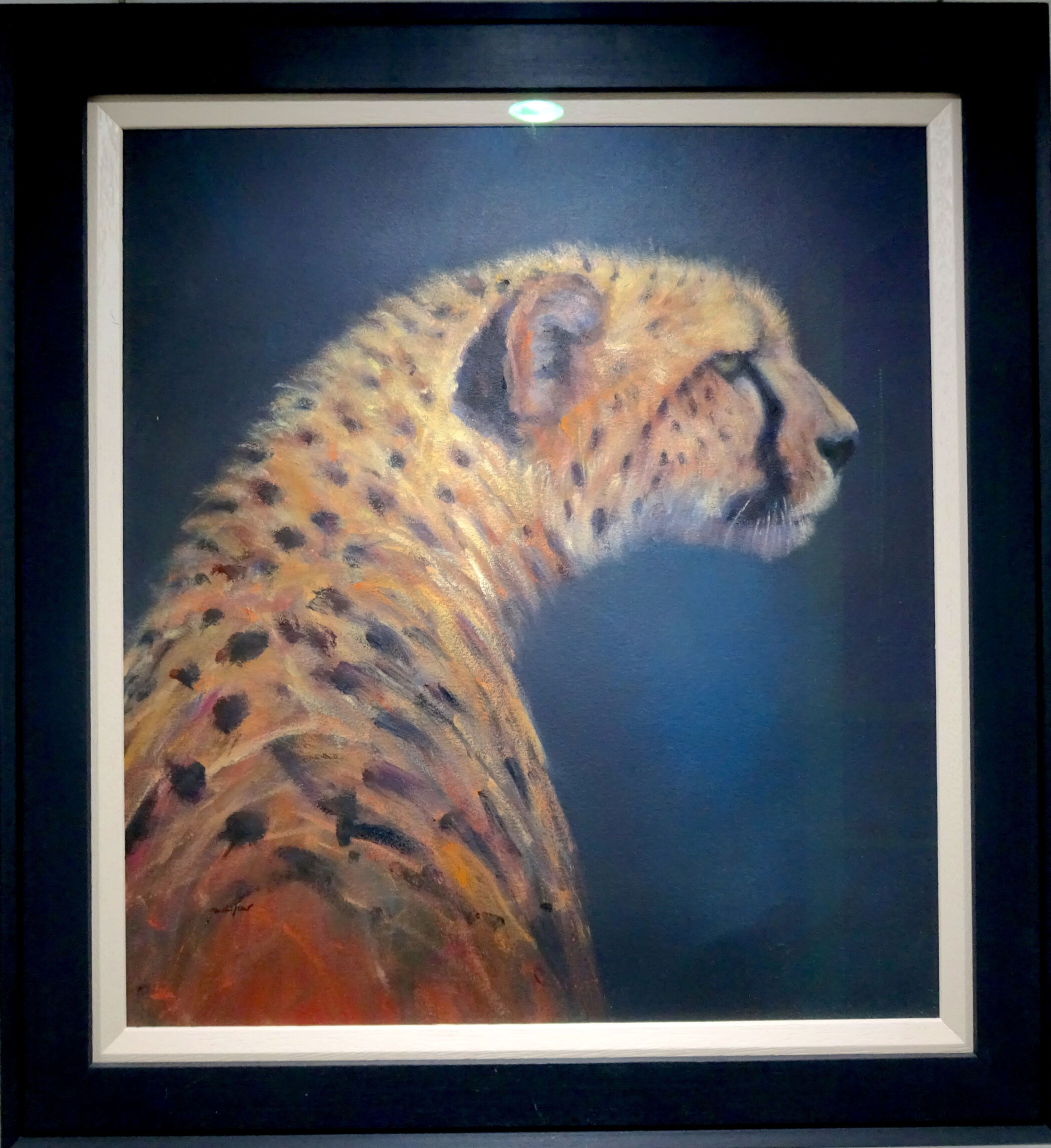 CHEETAH by Justin Tew (Oil)