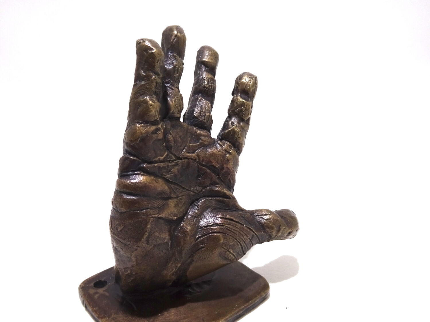 Bronze Hand Coat Hook by Nick Davis (Bronze)