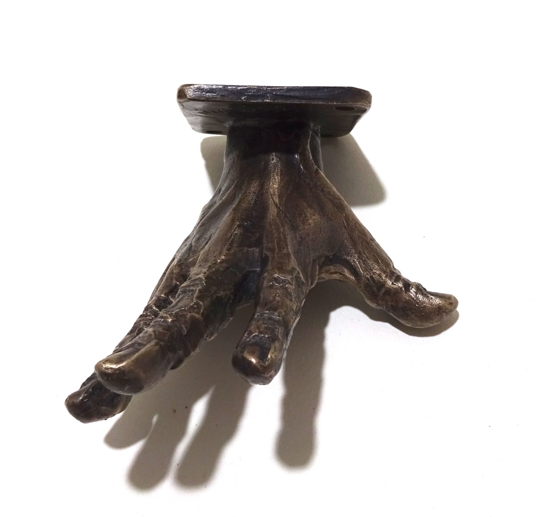 Bronze Hand Coat Hook by Nick Davis (Bronze)