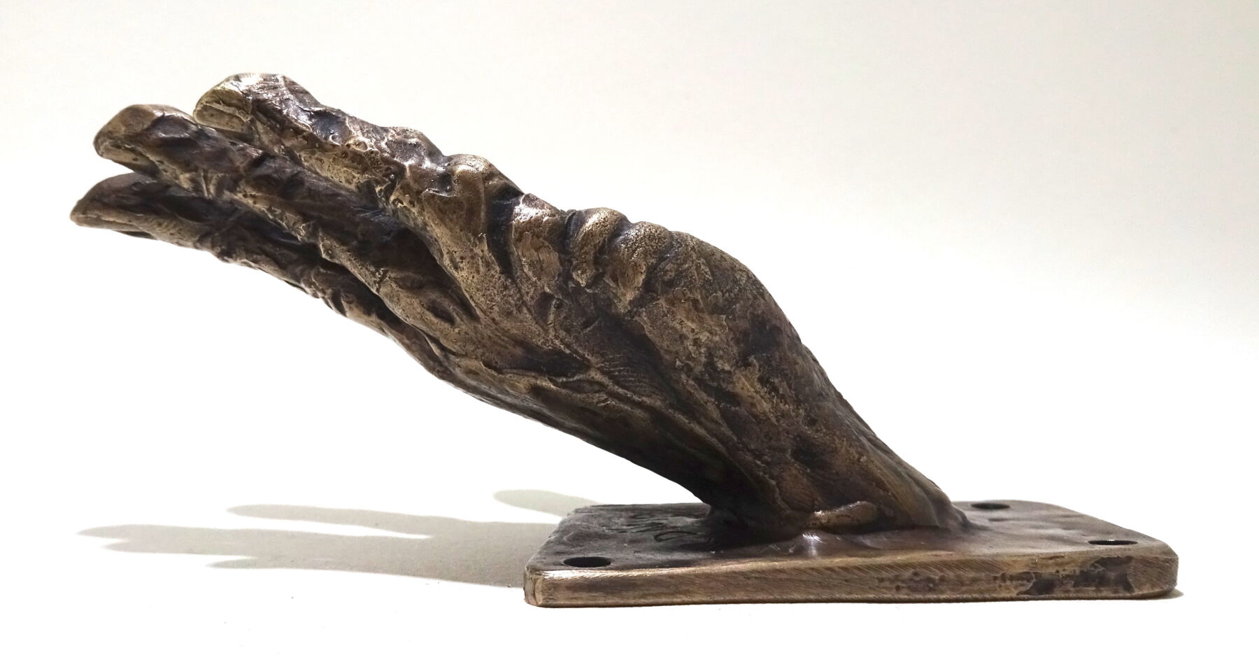 Bronze Hand Coat Hook by Nick Davis (Bronze)