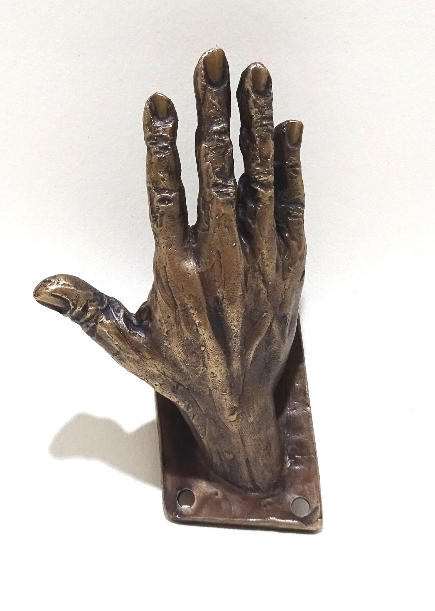 Bronze Hand Coat Hook by Nick Davis (Bronze)