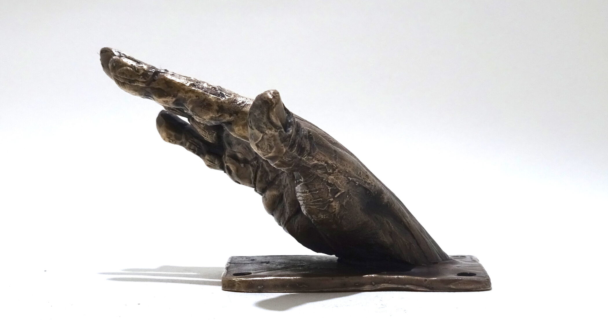 Bronze Hand Coat Hook by Nick Davis (Bronze)