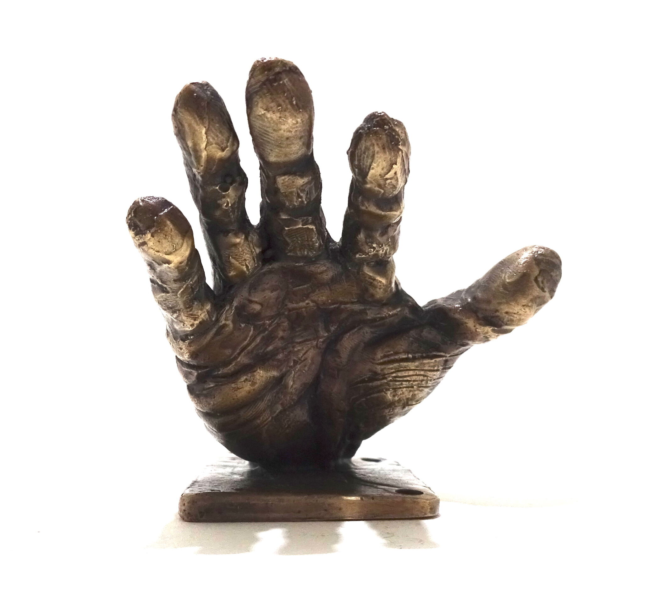 Bronze Hand Coat Hook by Nick Davis (Bronze)