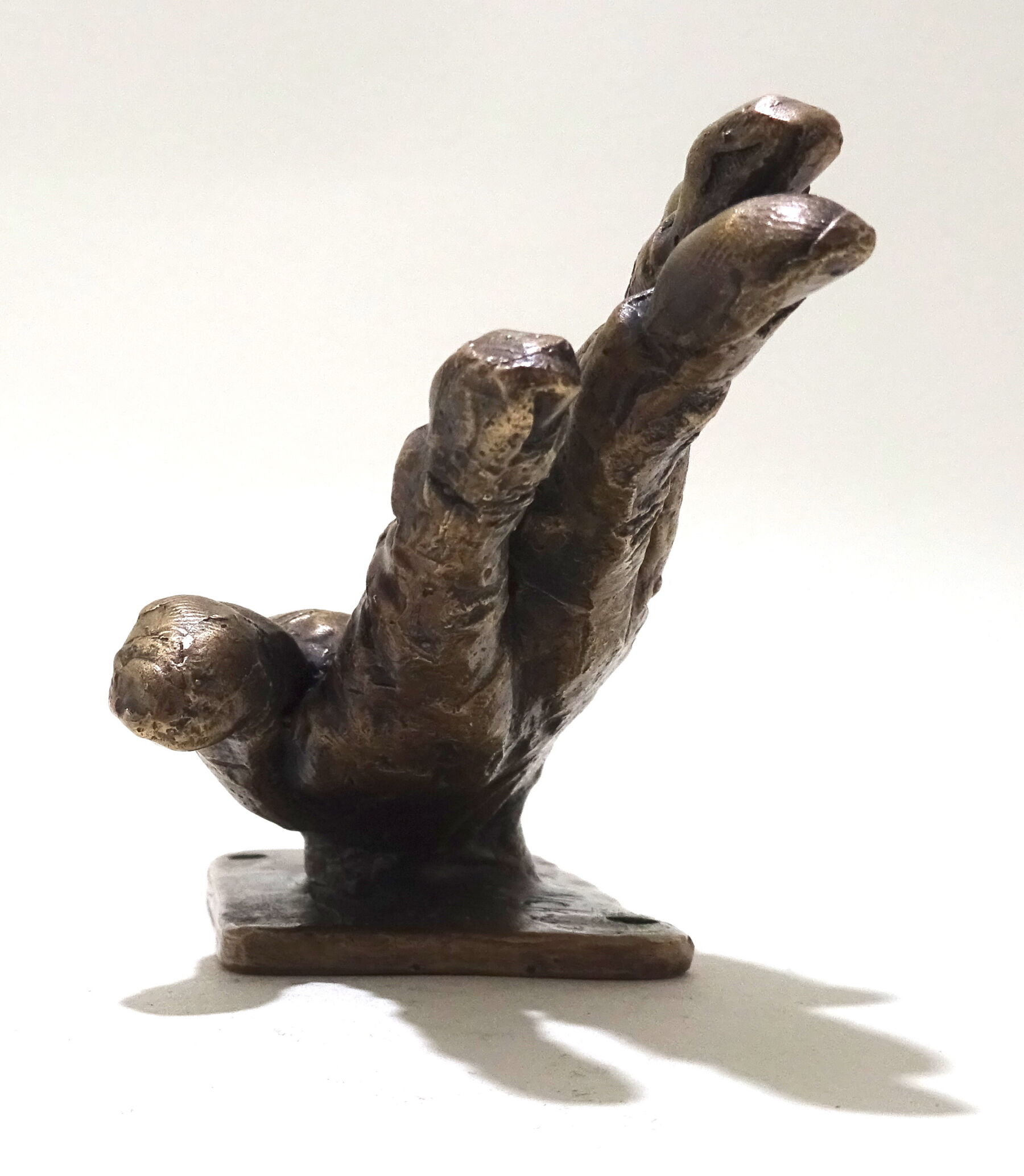 Bronze Hand Coat Hook by Nick Davis (Bronze)