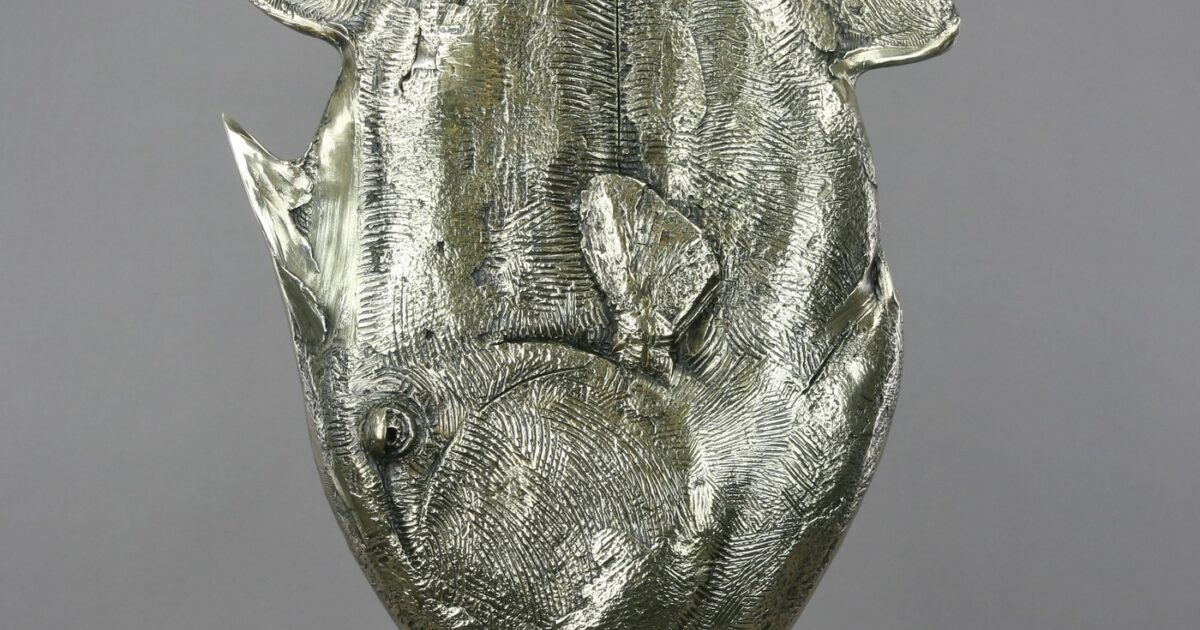 TITAN TRIGGER FISH by Andrzej Szymczyk (Bronze)