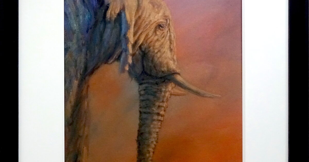 ELEPHANT by Justin Tew (Oil)